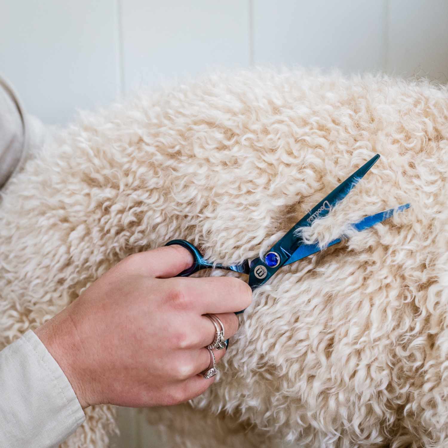 Cutting & Trimming your pet's coat - Mikki Pet
